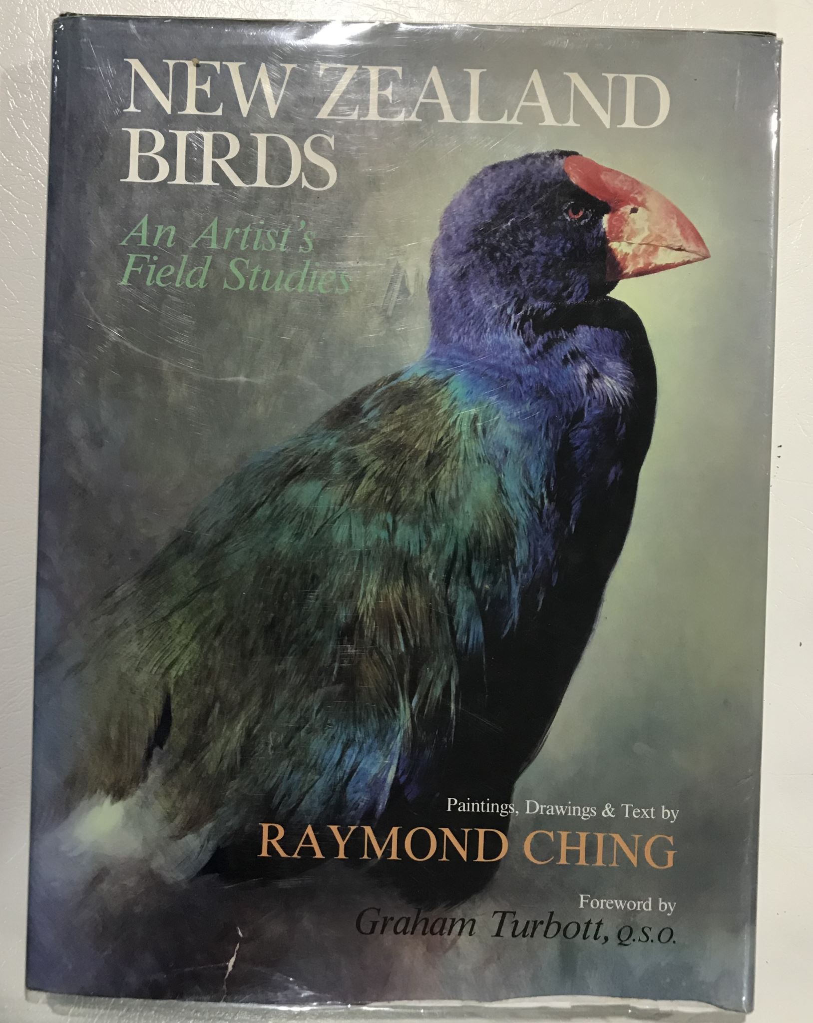 New Zealand Birds: An Artist Field Studies by Raymond Ching