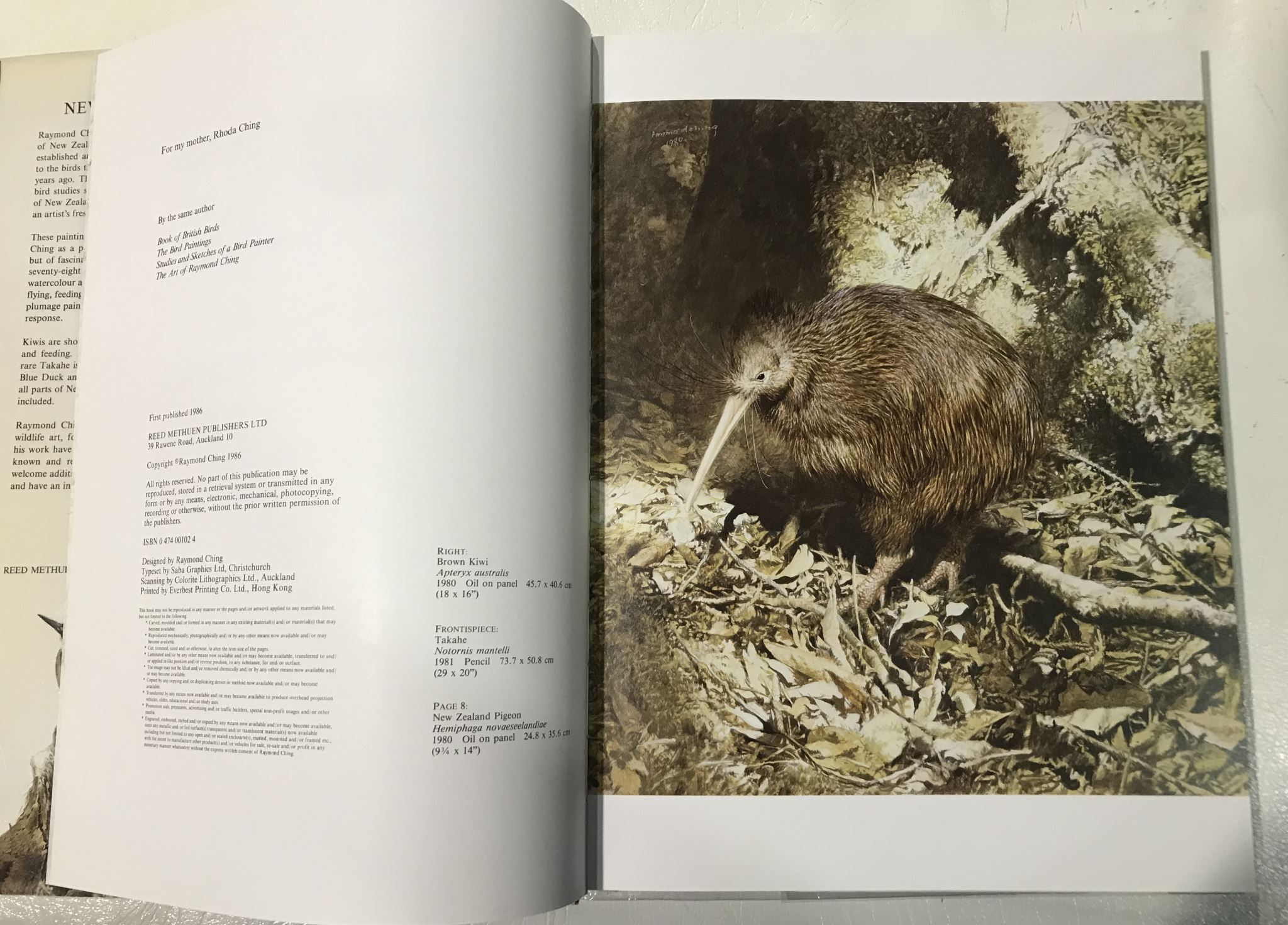 New Zealand Birds: An Artist Field Studies by Raymond Ching