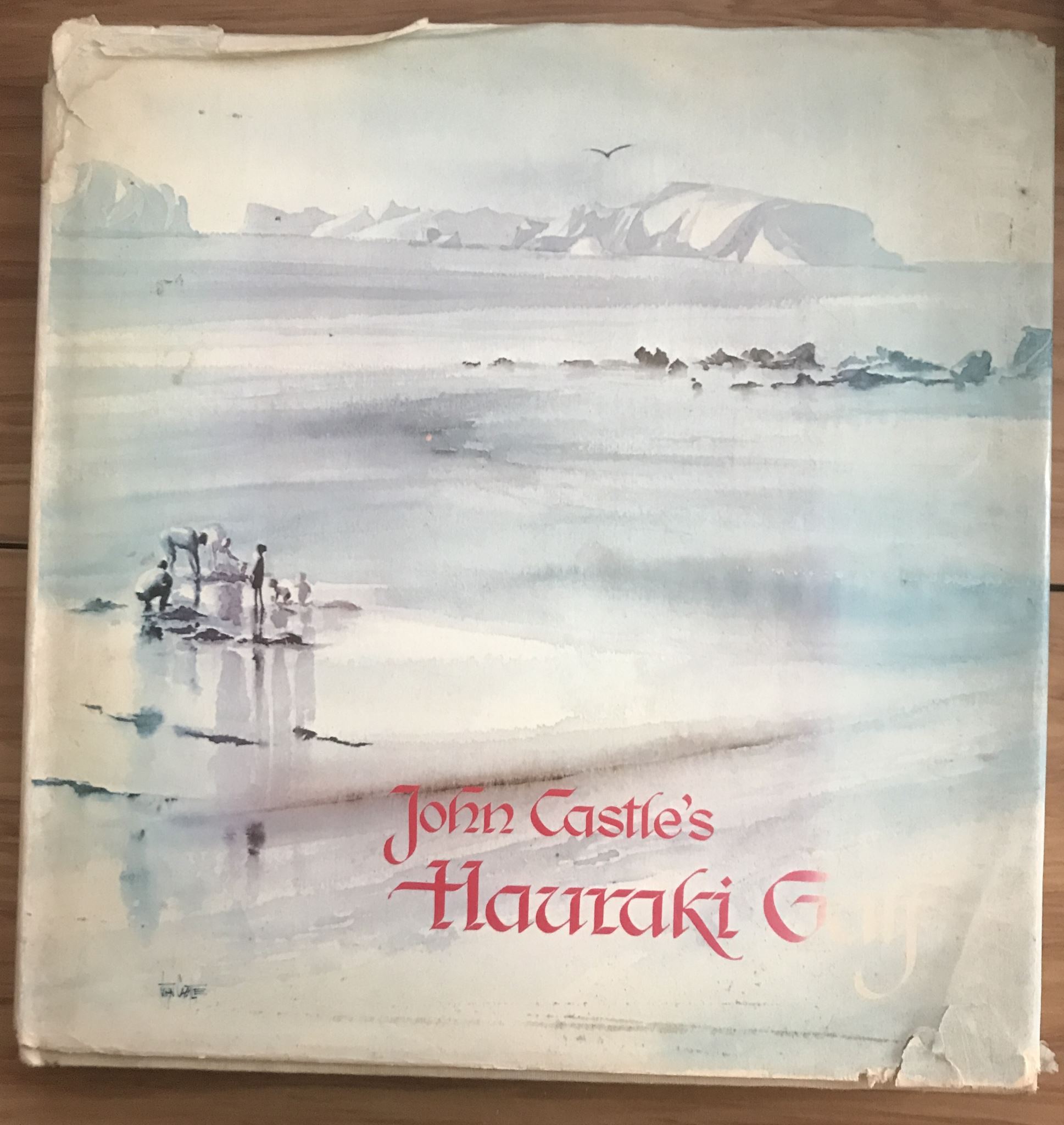 Auckland by John Castle