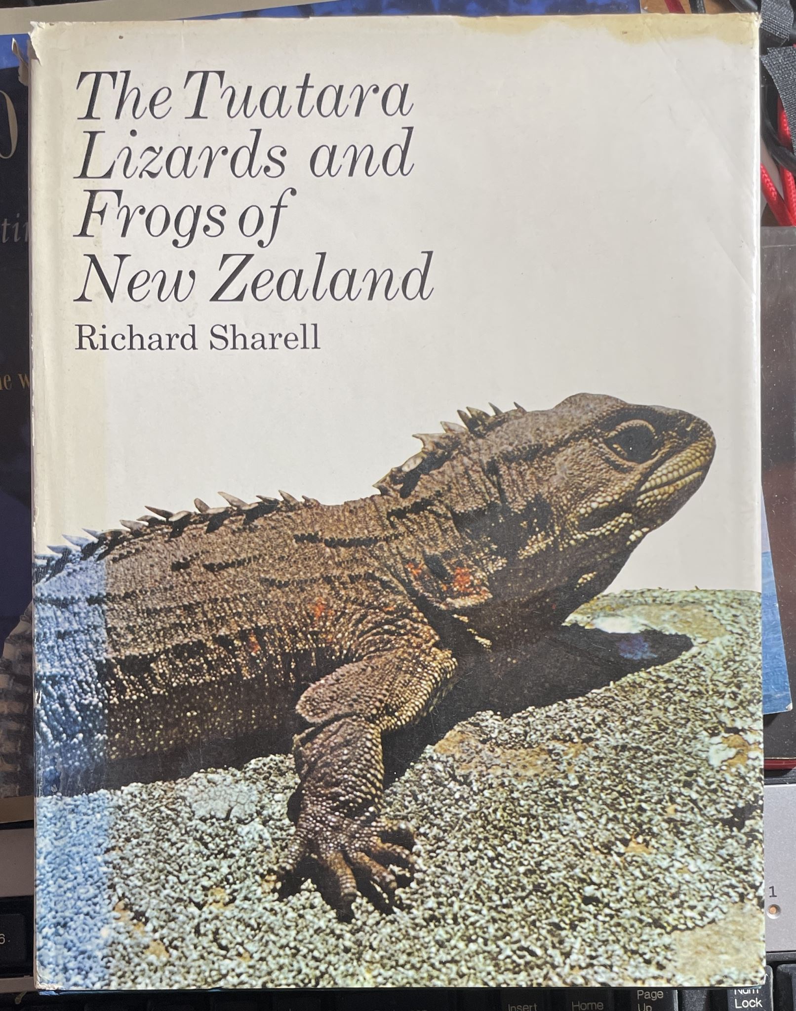 The Tuatara Lizards and Frogs of New Zealand