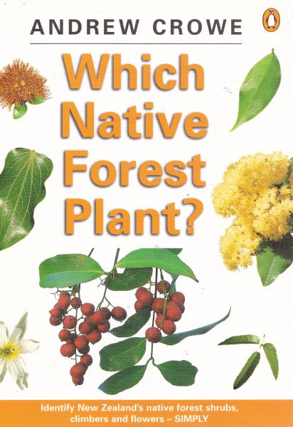 Which Native Forest Plant by Andrew Growe