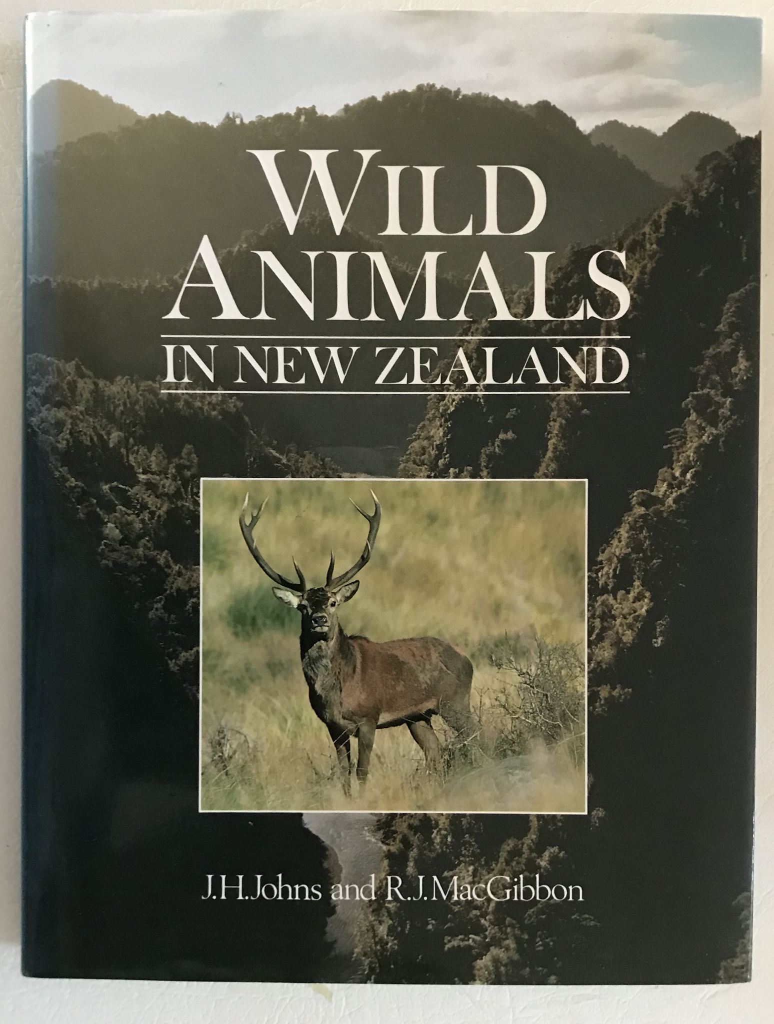 Wild animals in New Zealand