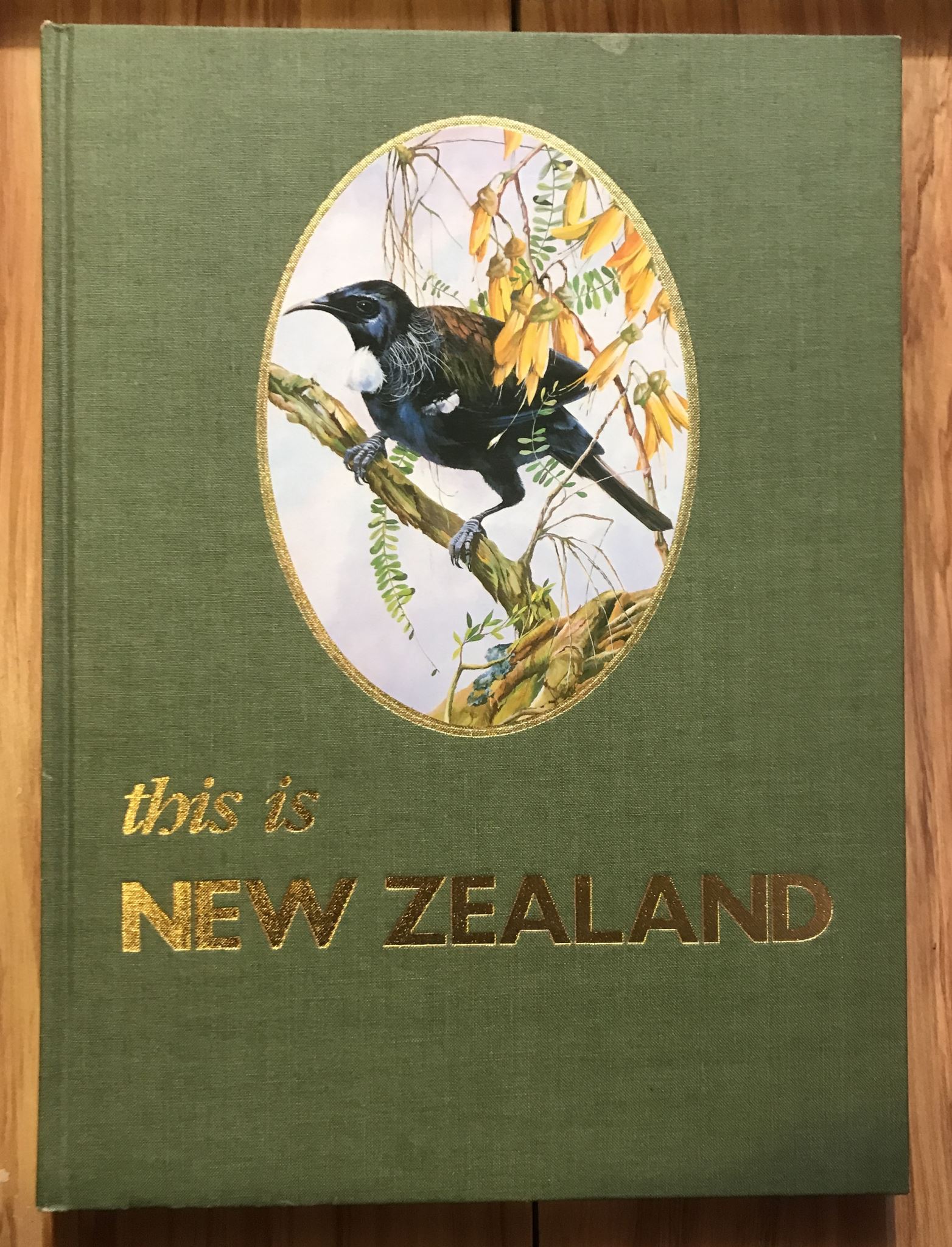 This is New Zealand (European Edition) Sheffield House