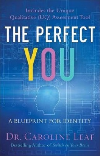 The Perfect You A Blueprint for Identity