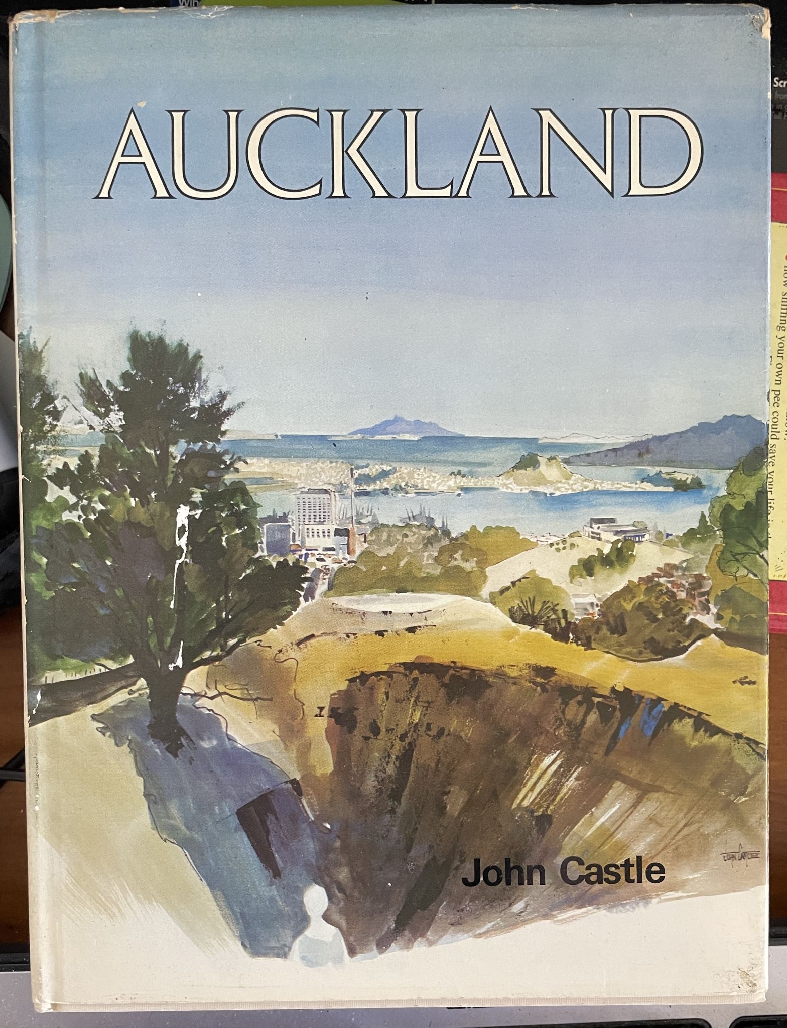 Auckland by John Castle