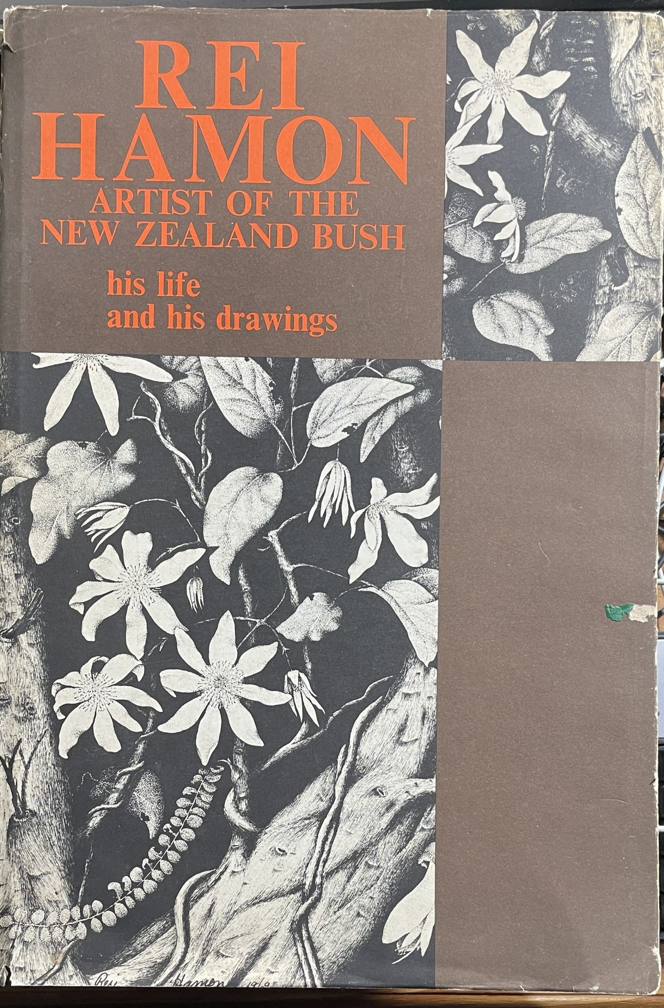 Rei Hamon Artist of the New Zealand Bush