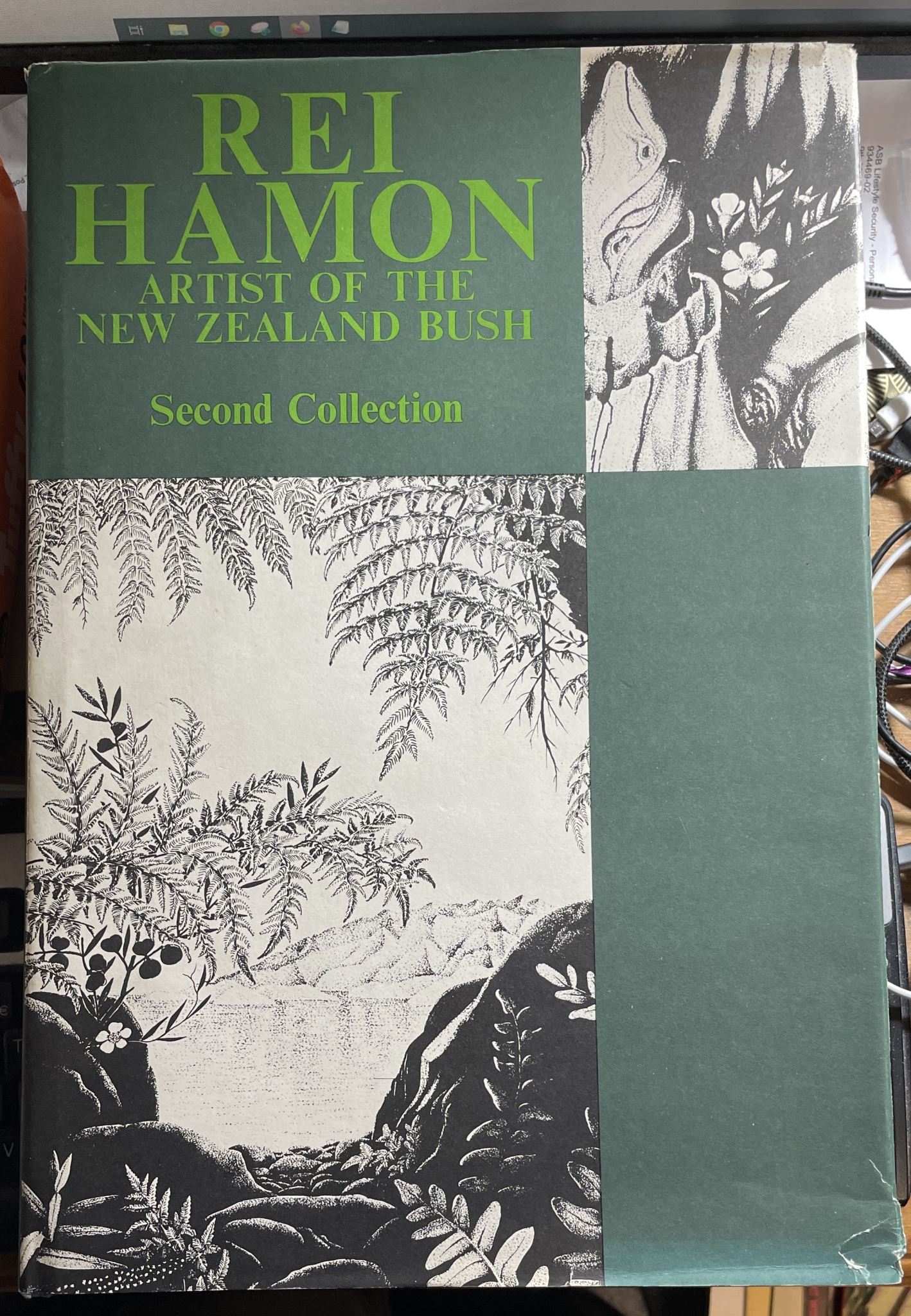 Rei Hamon Artist of the New Zealand Bush