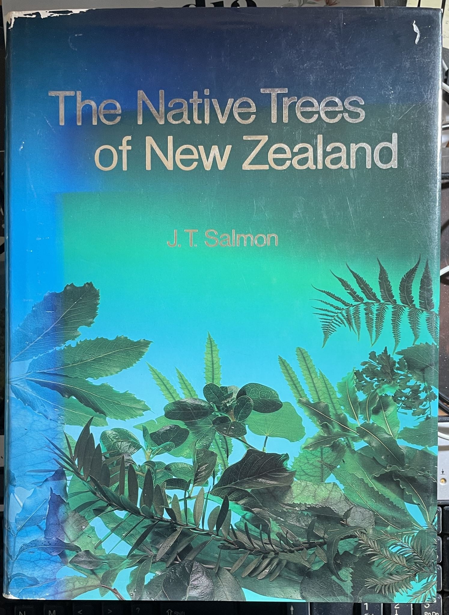 A Field Guide to the Native Trees of New Zealand by J T Salmon