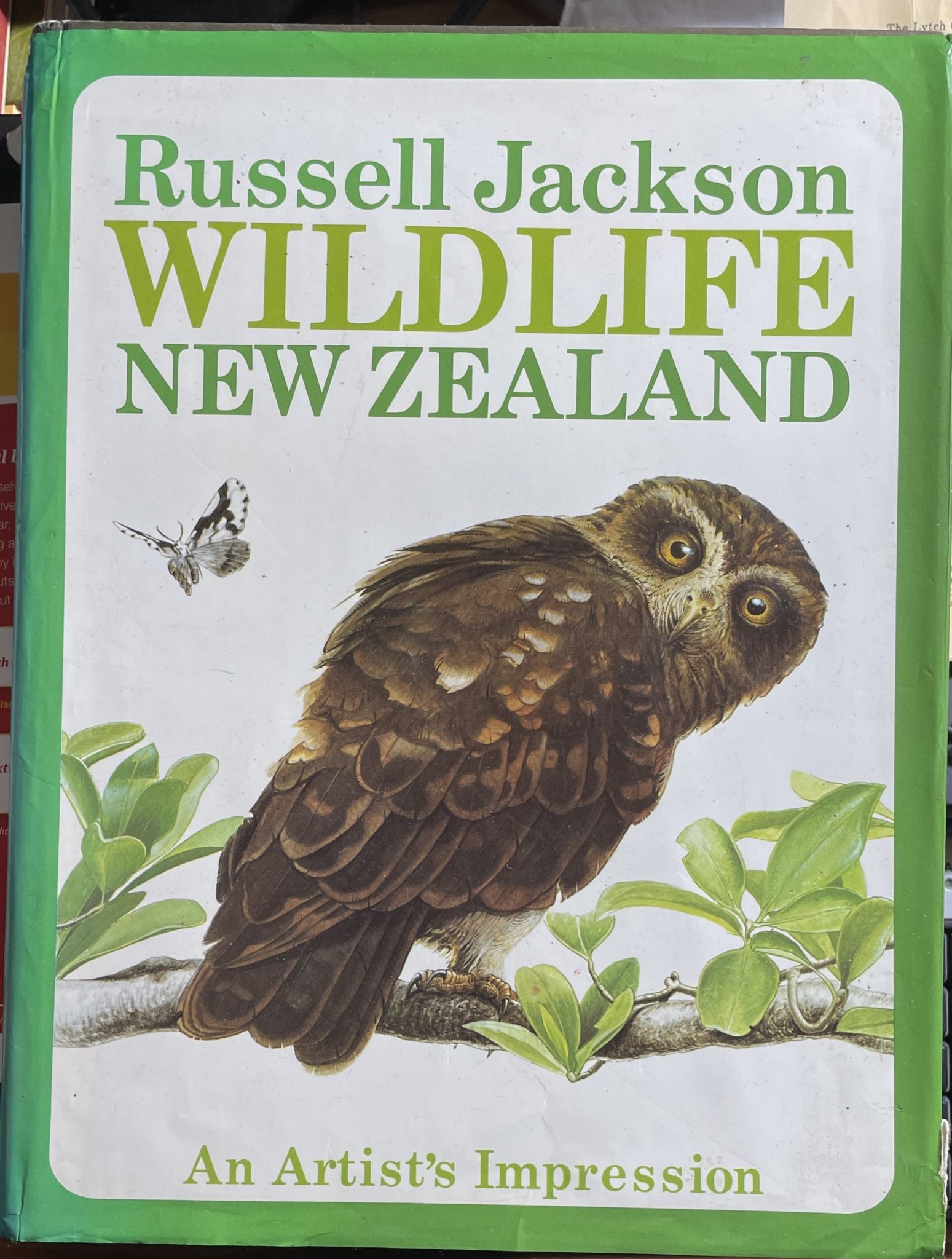 Russell Jackson Wildlife New Zealand An Artists Impression