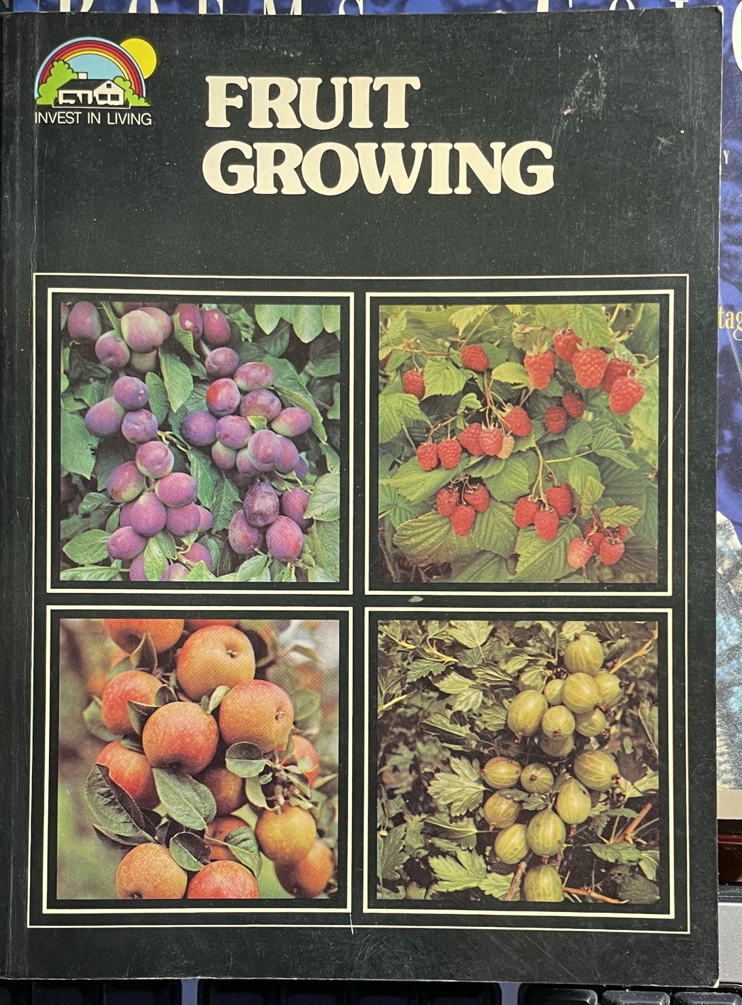 Fruit Growing by David Antill